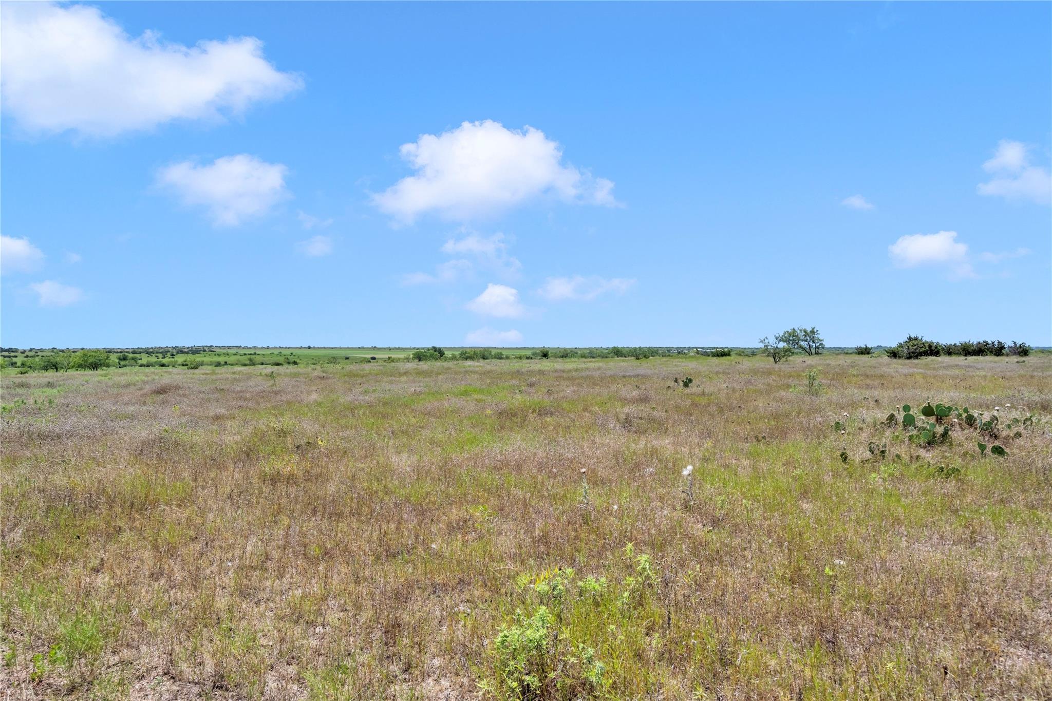 11064 County Road 210 Rd, Bertram, TX 78605 | MLS #1557529