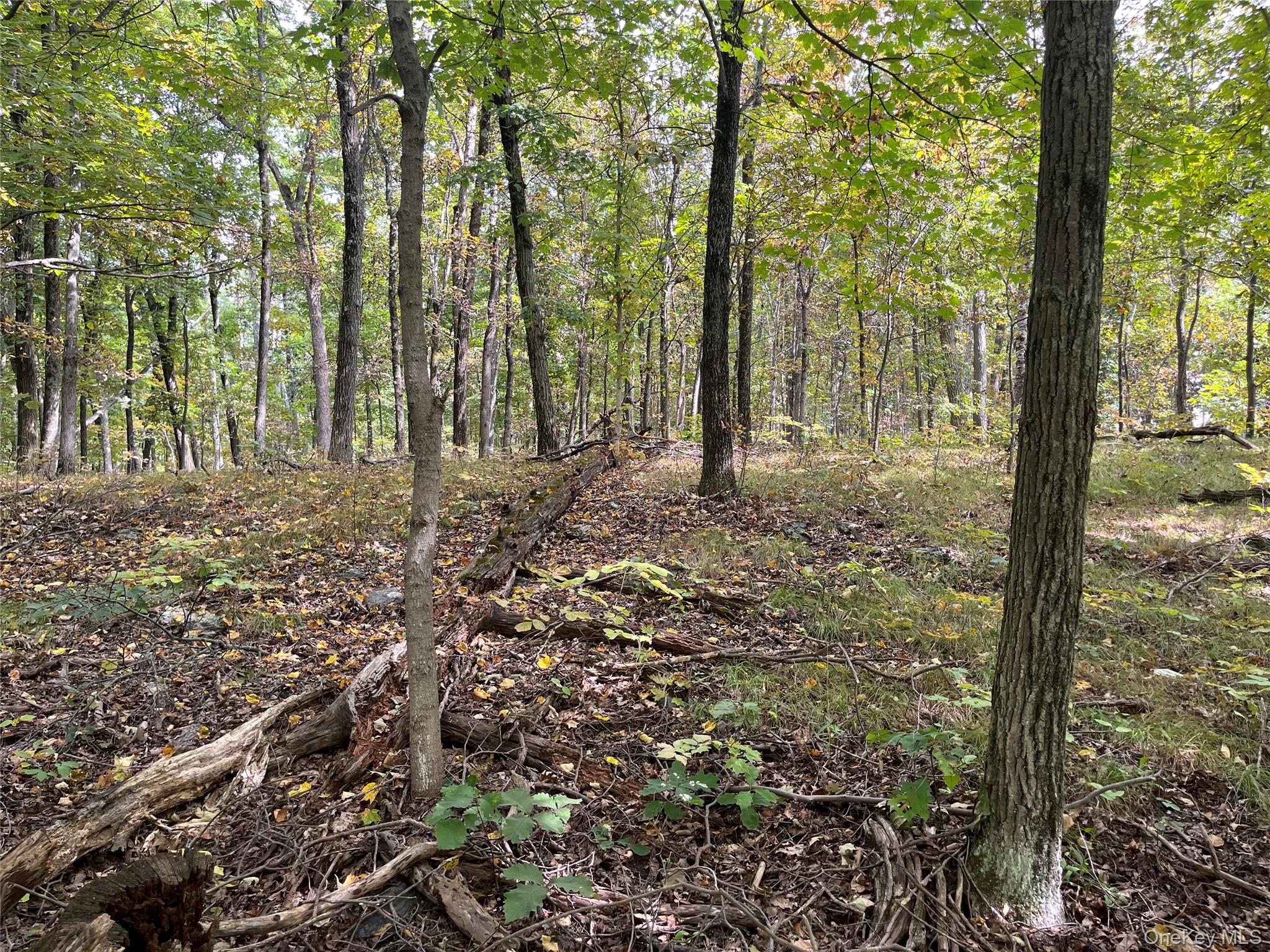 TBD Cold Spring Road, Clinton Corners, NY 12514 | MLS #915265
