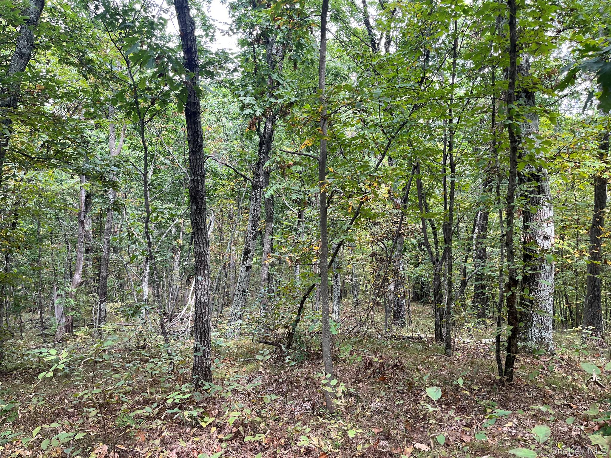TBD Cold Spring Road, Clinton Corners, NY 12514 | MLS #915265