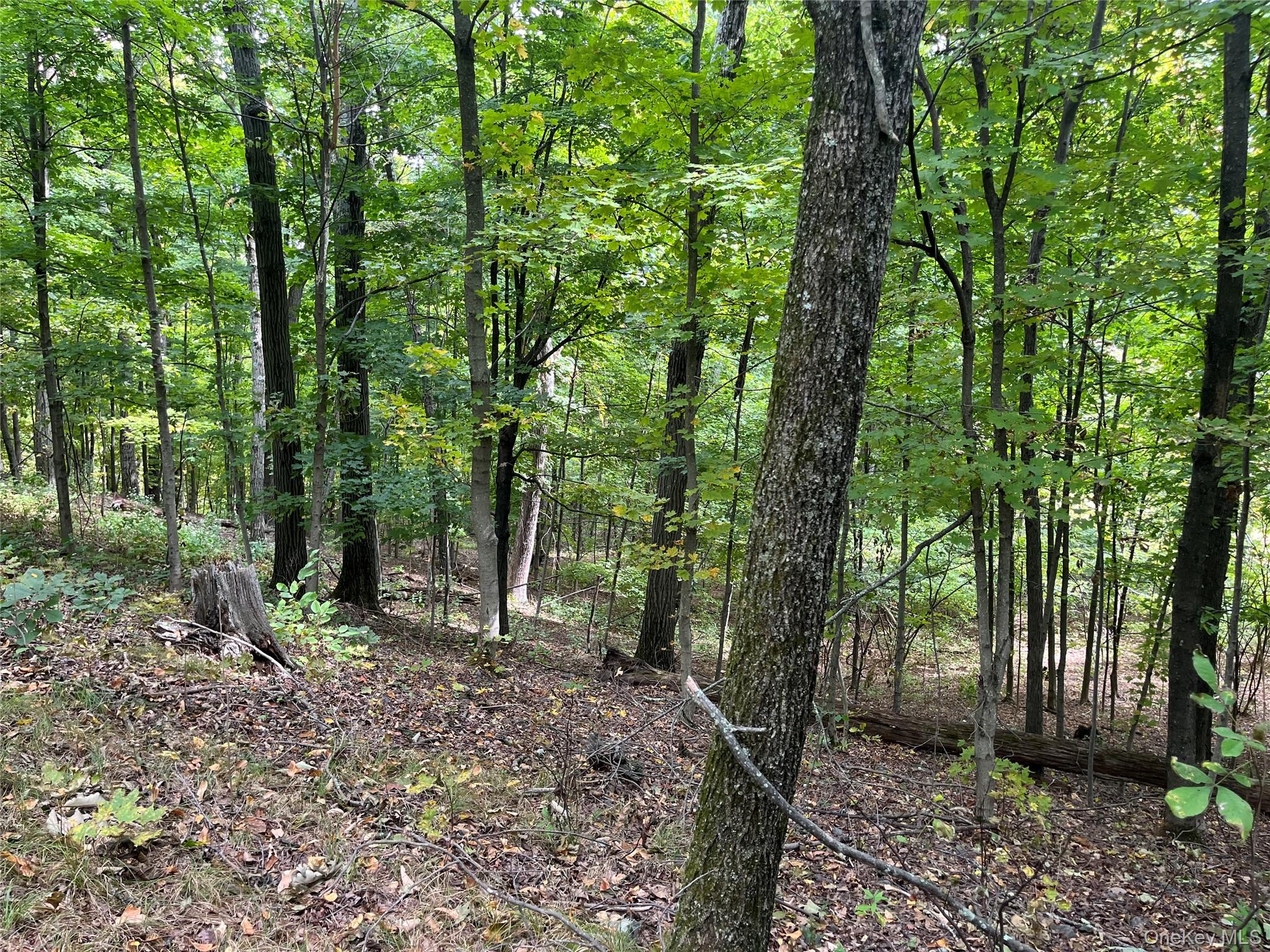TBD Cold Spring Road, Clinton Corners, NY 12514 | MLS #915265
