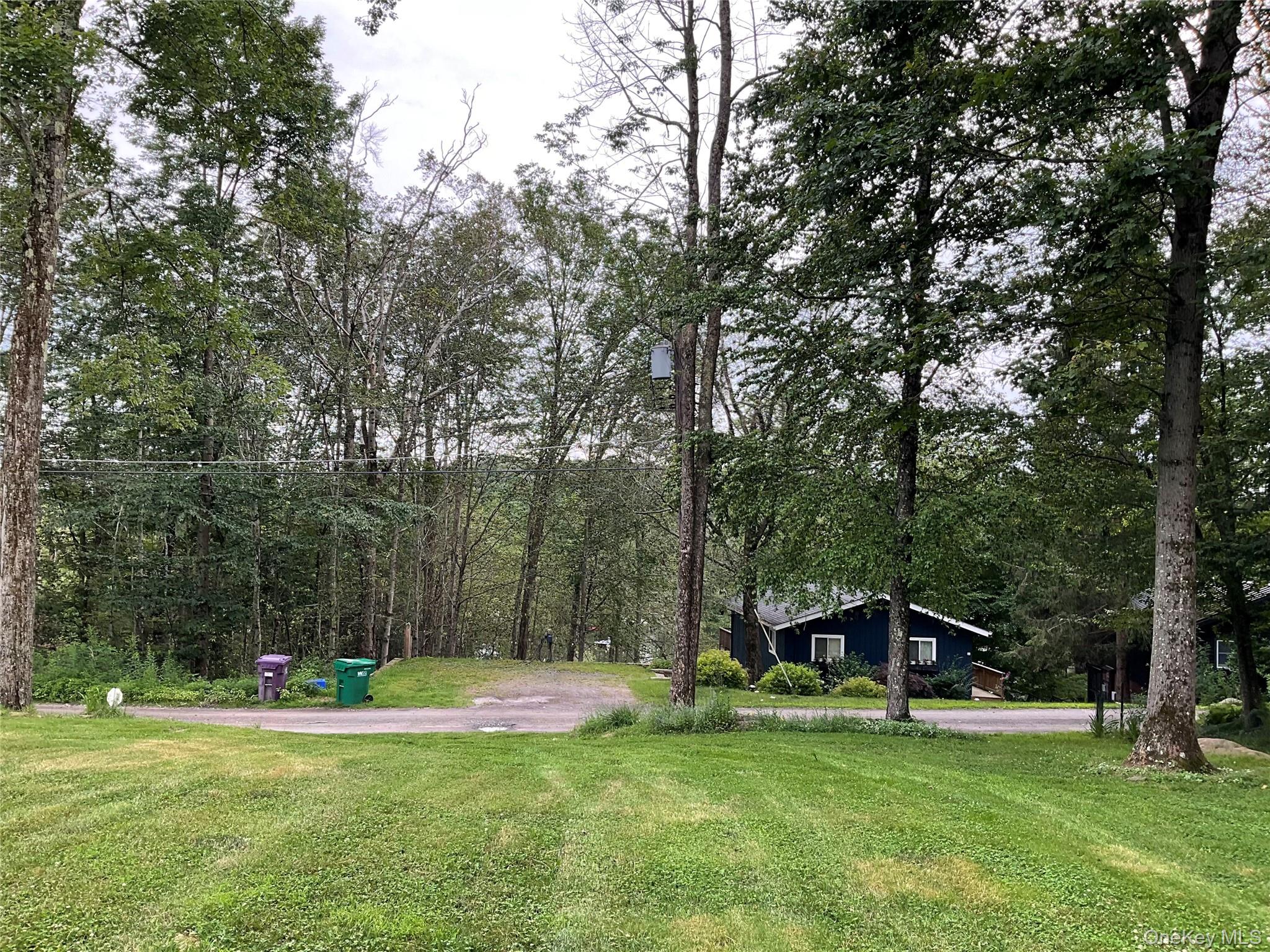 35 Mohawk Circle, Ferndale, NY 12734 | MLS #955211