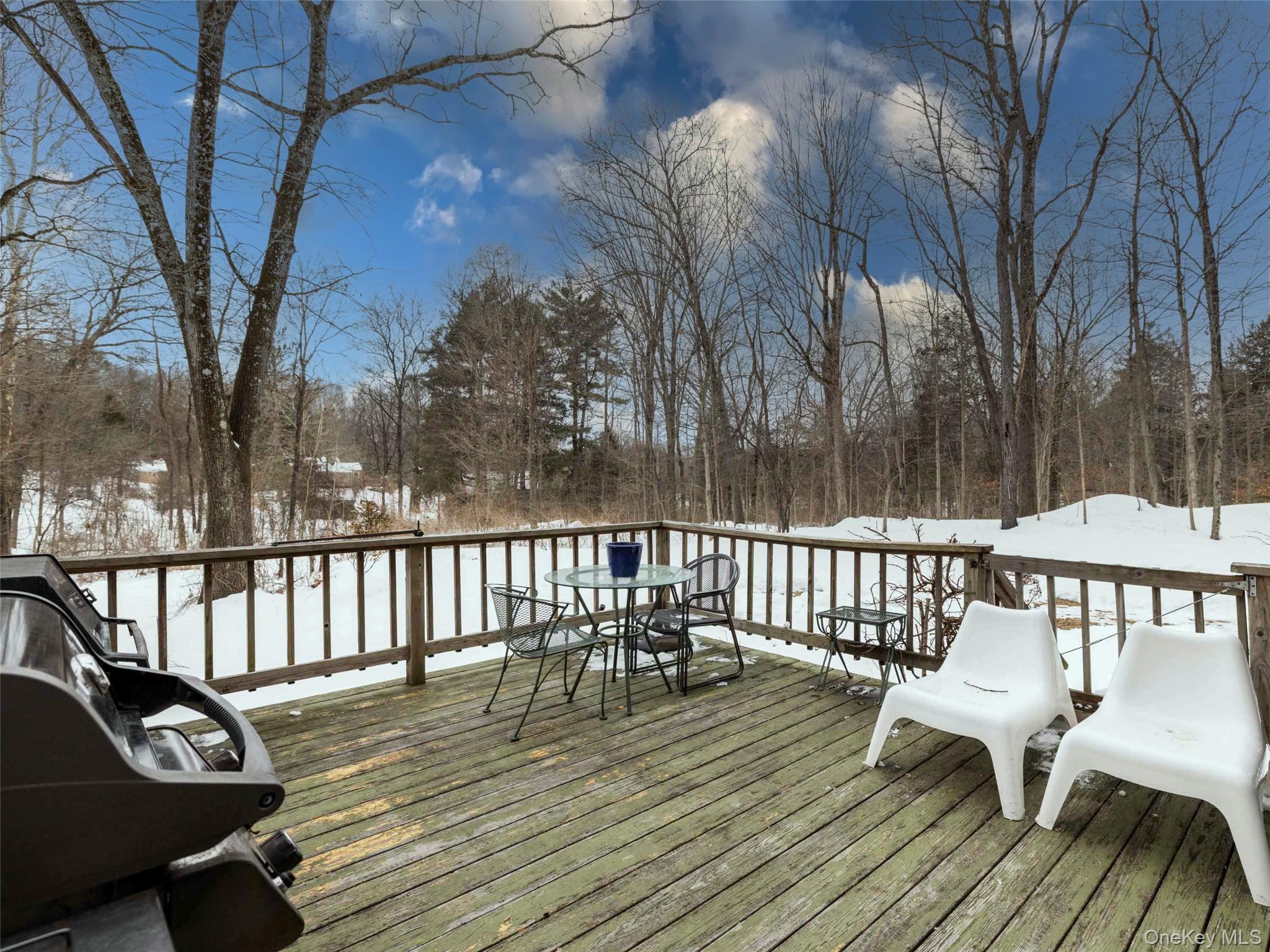 74 Lemon Lane, Rhinebeck, NY 12572 | MLS #963087