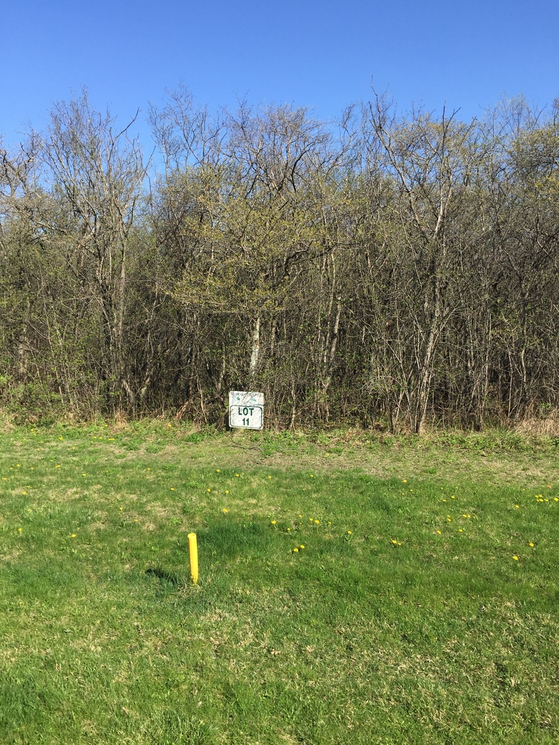 2 Alexandra Drive, Mettawa, IL 60048 | MLS #MRD12551369